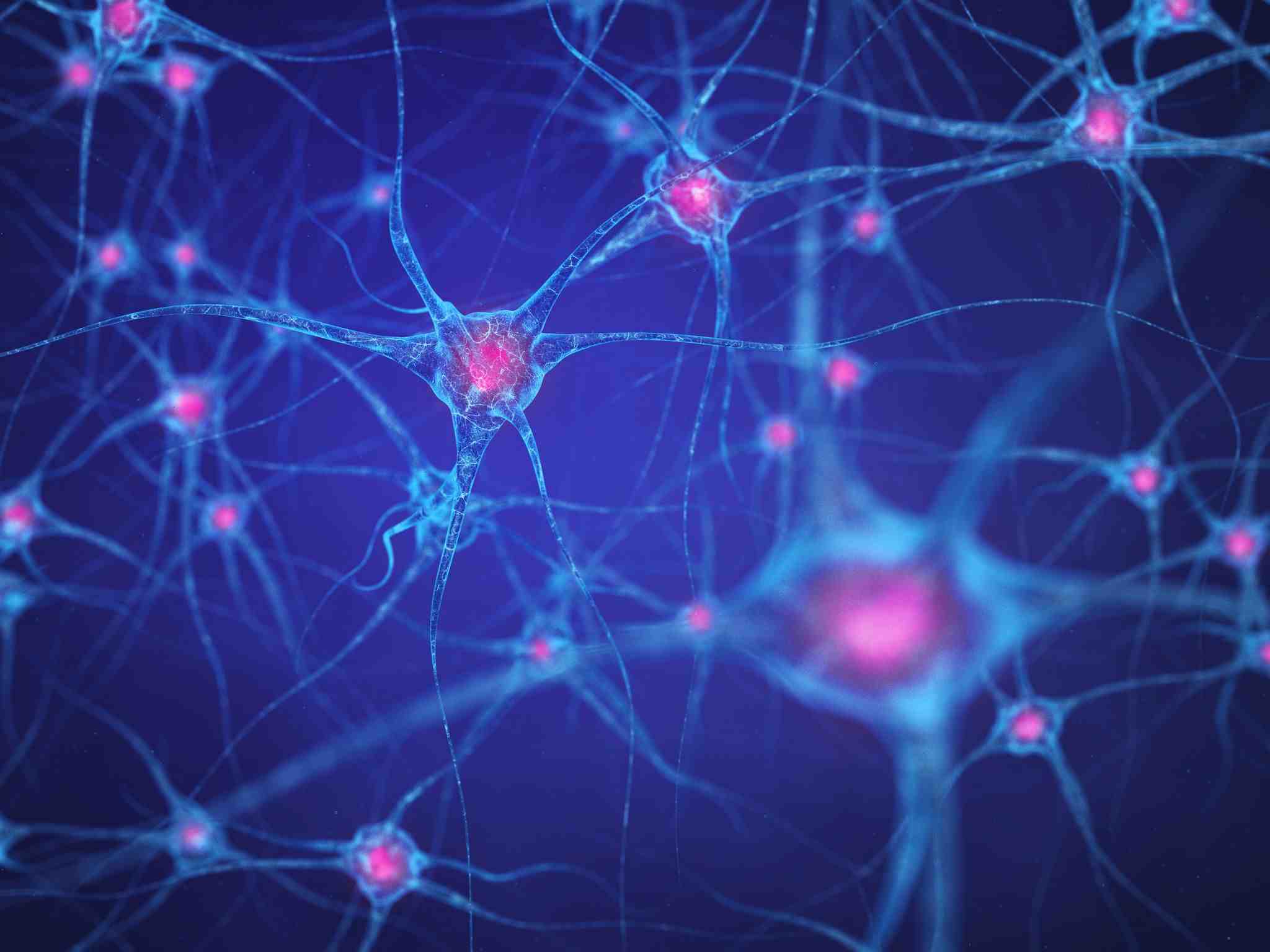 Latest Remyelination Research Developments in Multiple Sclerosis